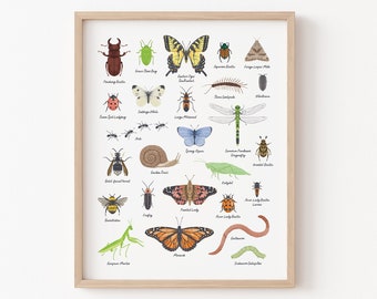 Bug Room Decor - Etsy