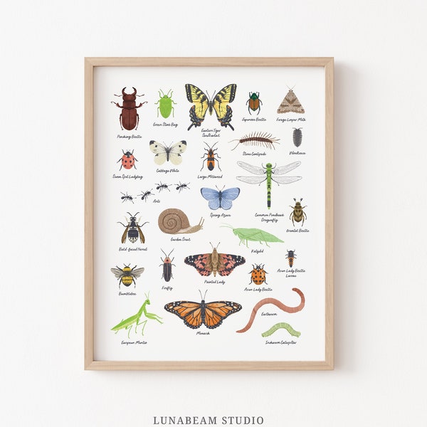 Bug Art Print - Etsy