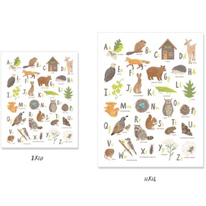 Kids Alphabet Art Print - Woodland Animals, Nature ABC Poster, Forest ...