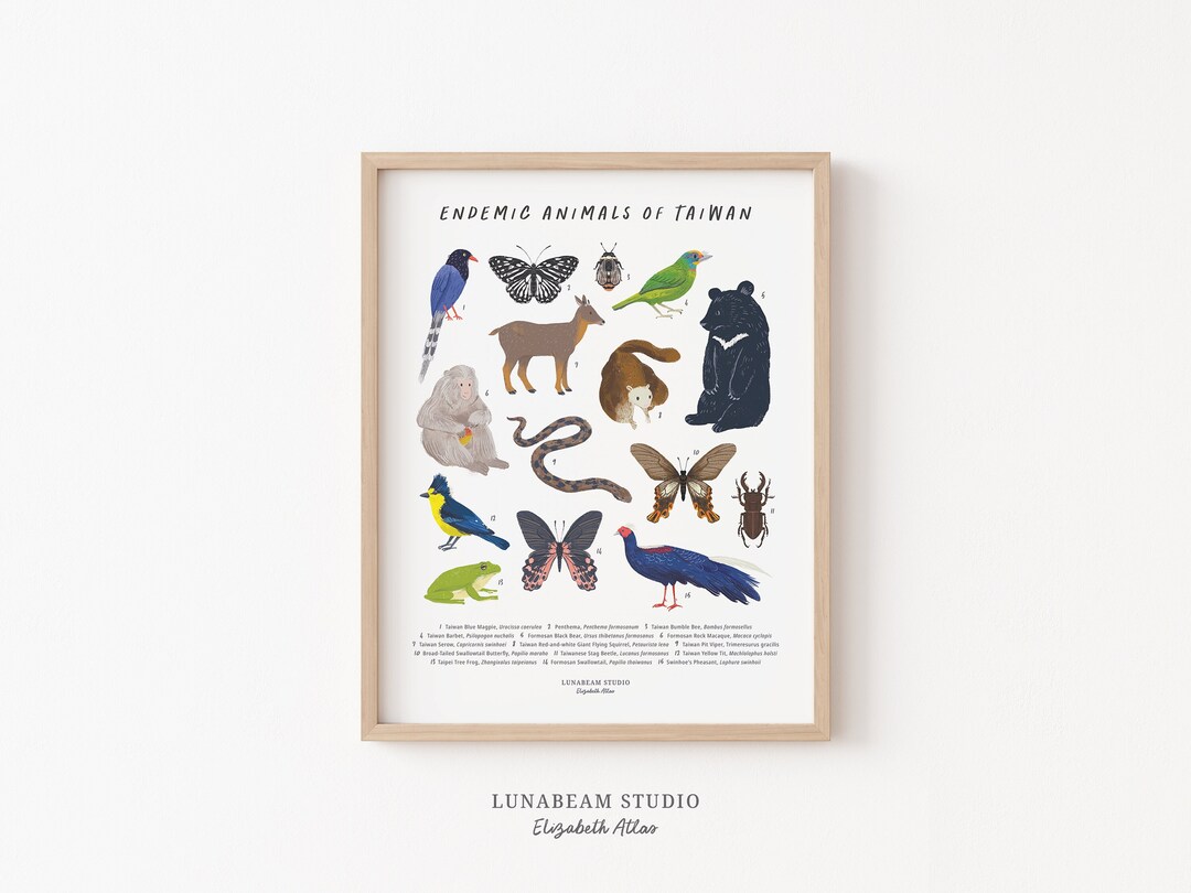 Taiwan Animals Art Print: Endemic Formosan Wildlife Illustration - Etsy