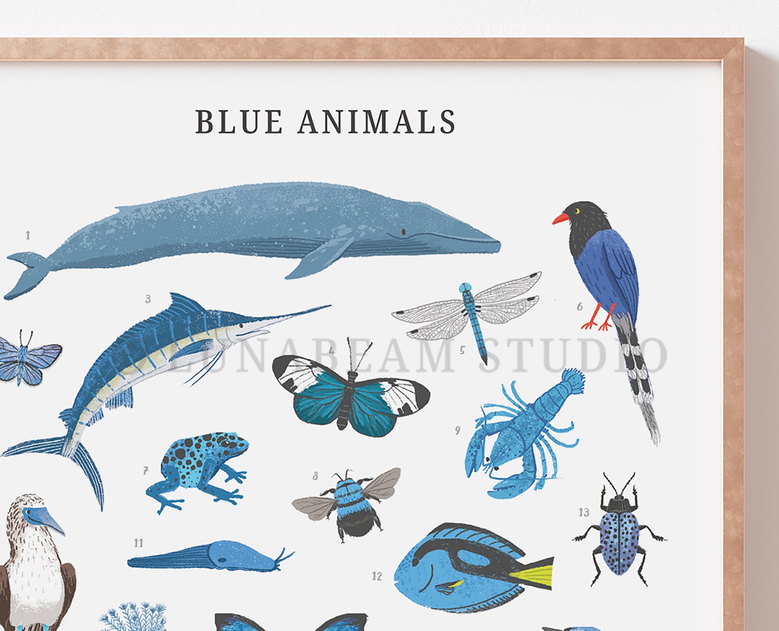 Scientific Animal Illustration Educational Art, Nursery Decor, Playroom ...