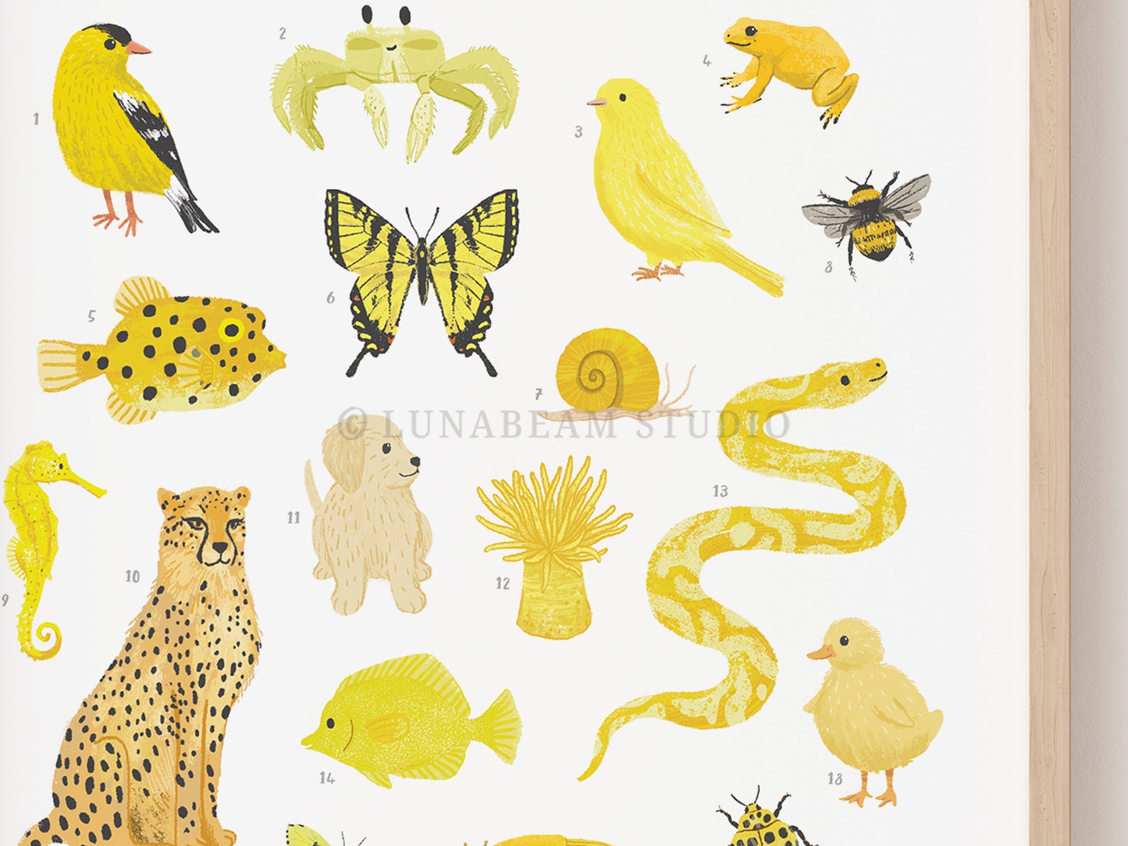 Yellow Animals Educational Art Nursery Decor Playroom Wall | Etsy