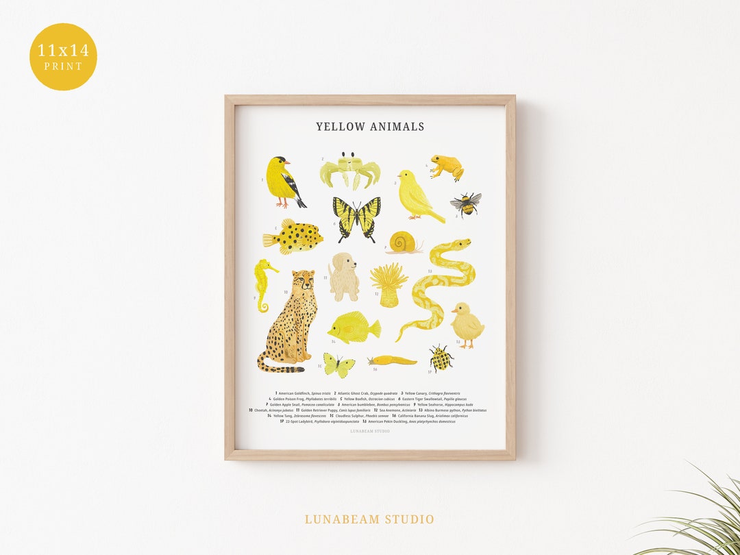 Yellow Animals Art Print: Colorful Nursery Illustration (11x14" Print ...