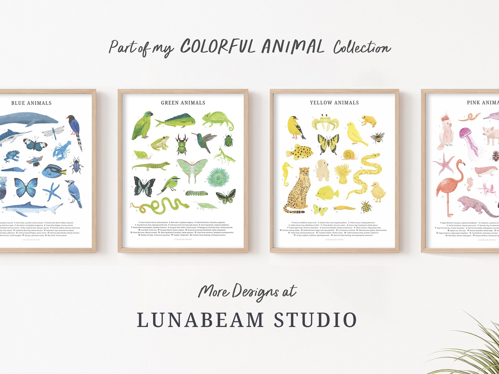 Scientific Animal Illustration Educational Art, Nursery Decor, Playroom ...