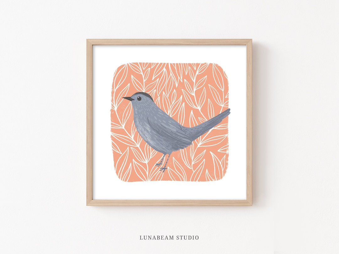 Gray Catbird Art Print, Bird Illustration, Bird Decor, Cute Bird ...