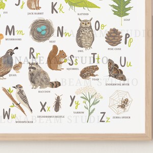 Kids Alphabet Art Print - Woodland Animals, Nature ABC Poster, Forest ...