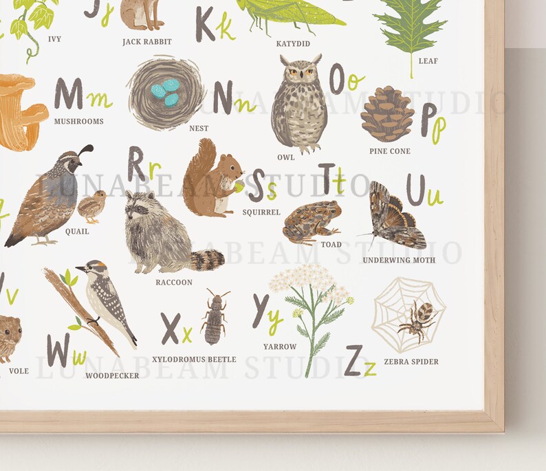Kids Alphabet Art Print Woodland Animals Nature ABC Poster - Etsy