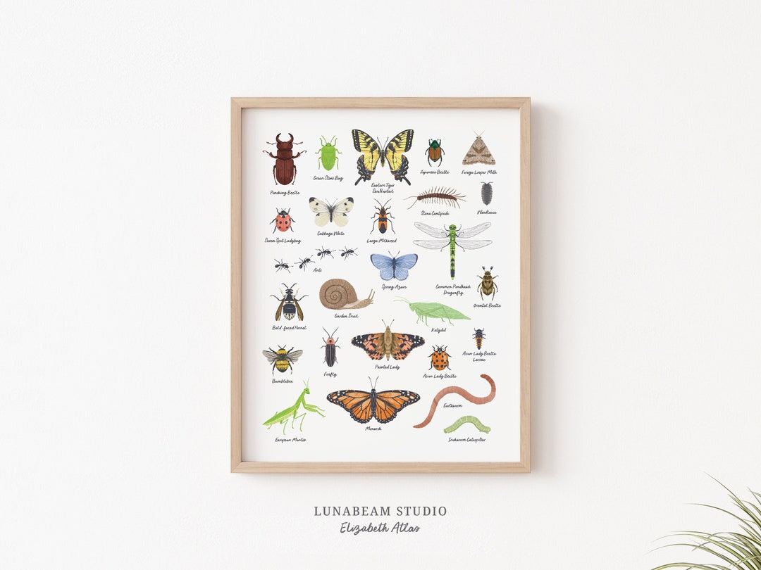 Garden Bug Print, Insect Print, Bugs Art Print, Nursery Wall Art, Kids ...