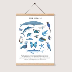 Scientific Animal Illustration - Educational Art, Nursery Decor ...