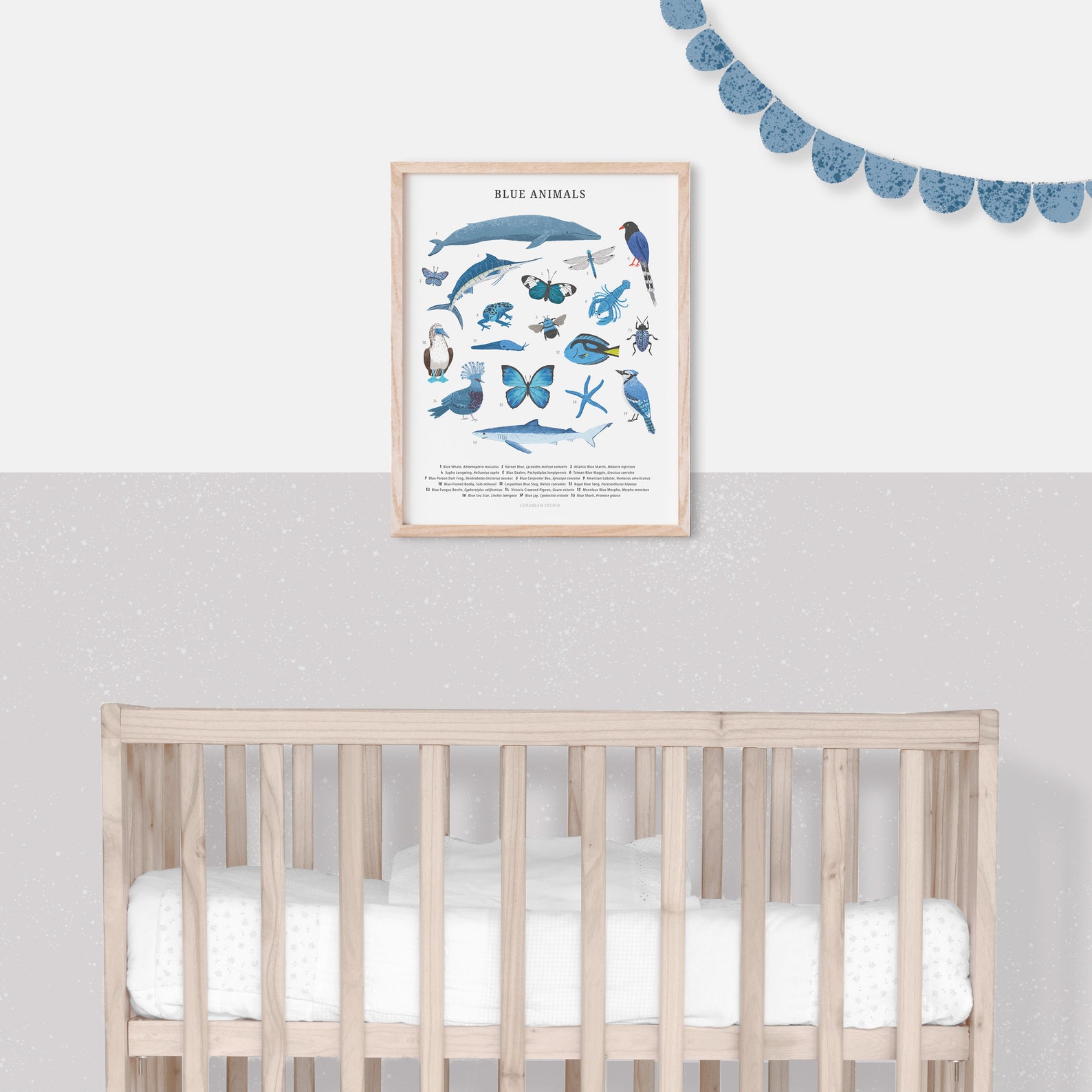 Scientific Animal Illustration Educational Art, Nursery Decor, Playroom ...