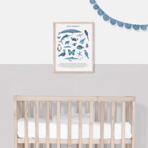 Scientific Animal Illustration - Educational Art, Nursery Decor ...