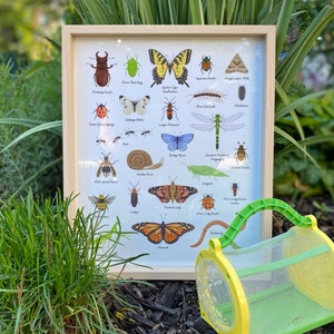 Garden Bug Print, Insect Print, Bugs Art Print, Nursery Wall Art, Kids ...