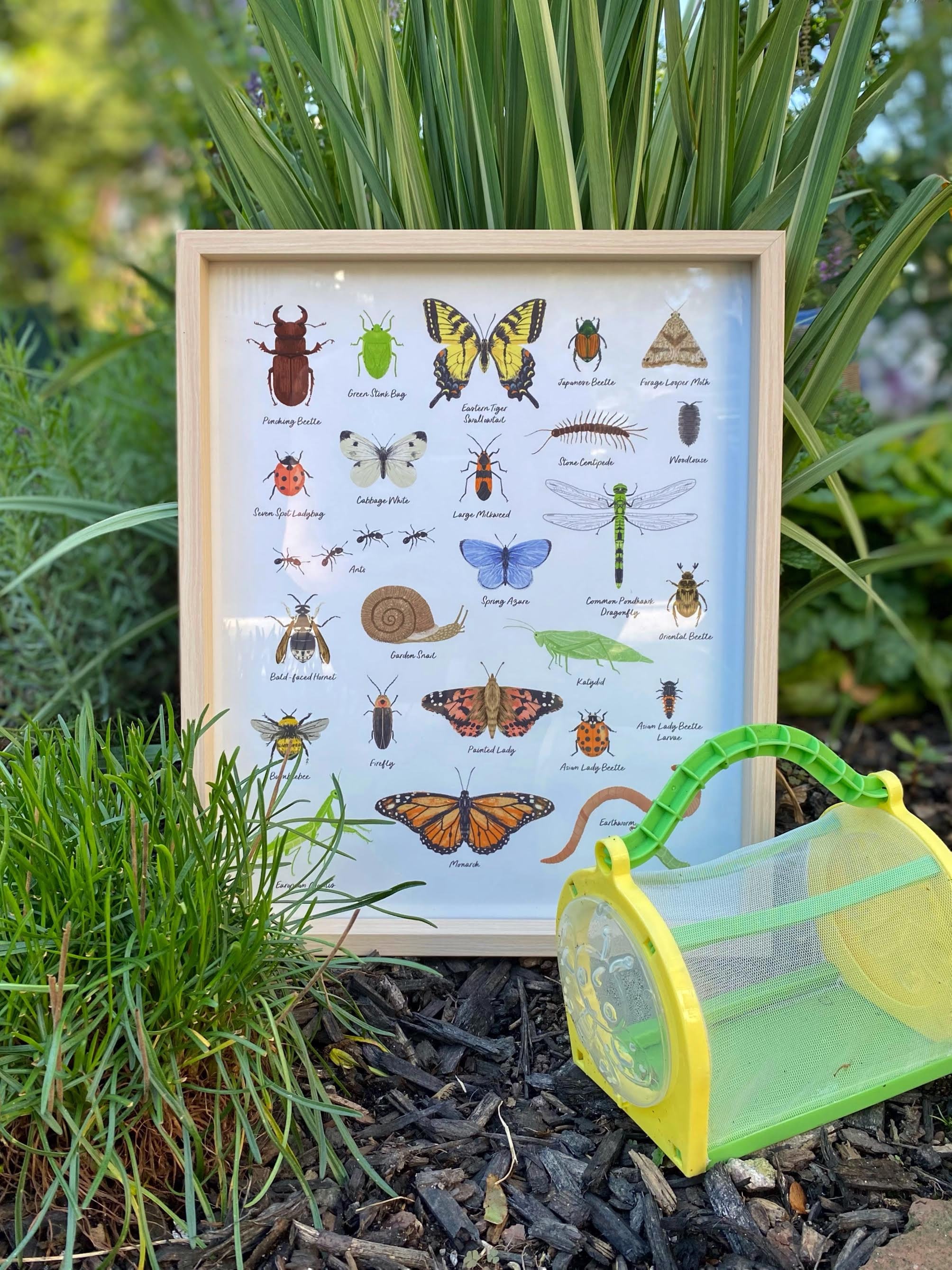 Garden Bug Print Insect Print Bugs Art Print Nursery Wall | Etsy