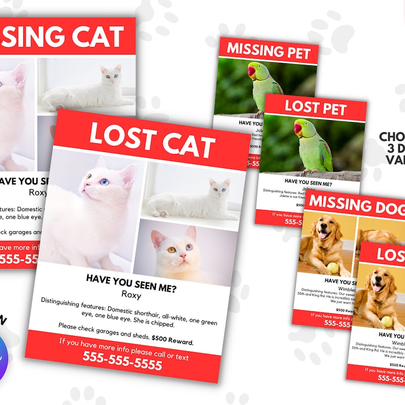 Lost Cat Template Poster - Etsy UK