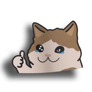Crying Cat Peeker Vinyl Sticker - Car Window Meme Decal - Etsy