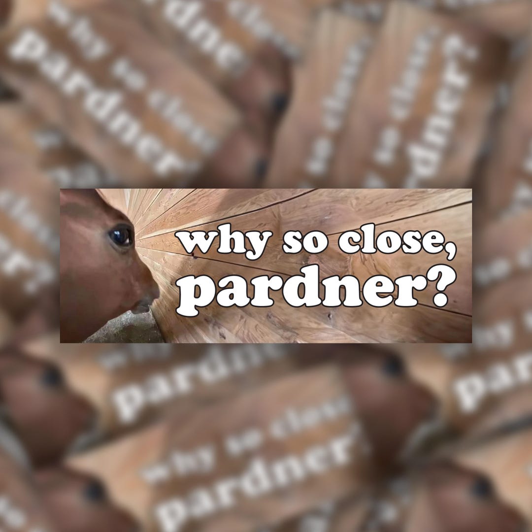 Bumper Sticker | Why so Close, Pardner? | Meme Sticker | Water ...