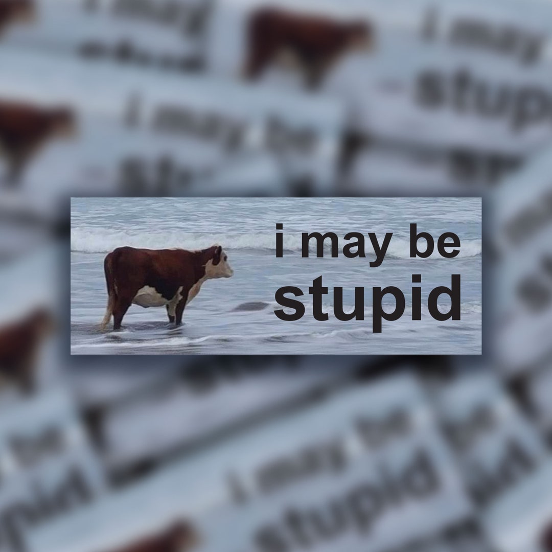 I May Be Stupid | Bumper Sticker | Meme Sticker | Water Resistant Vinyl ...