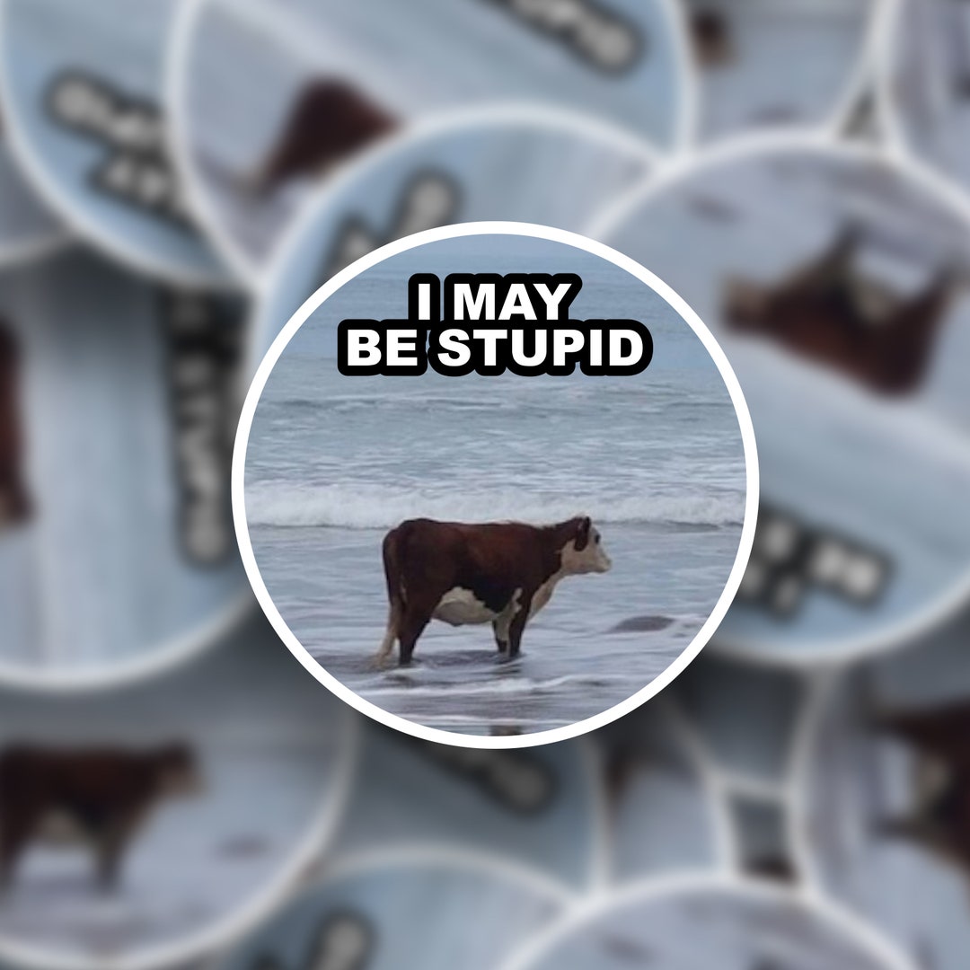 I May Be Stupid Cow Meme Sticker - Water Resistant Vinyl Bumper Sticker ...