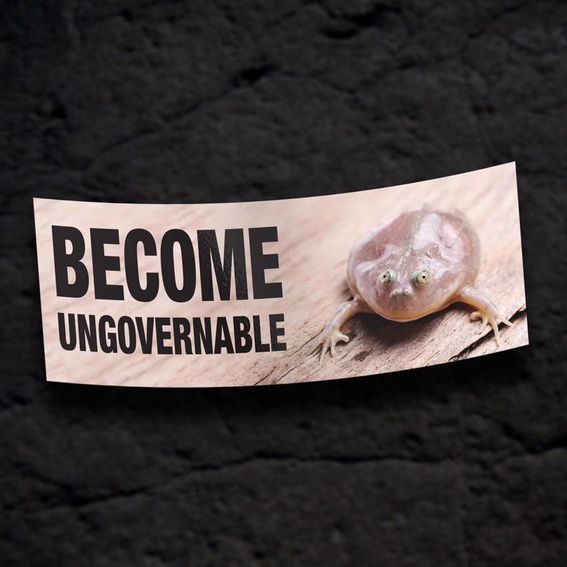 Become Ungovernable | Bumper Sticker | Meme Sticker | Water Resistant ...