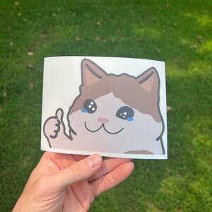 Crying Cat Peeker Vinyl Sticker - Car Window Meme Decal - Etsy