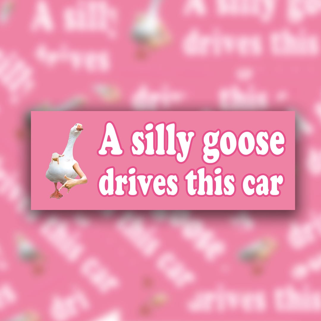 A Silly Goose Drives This Car | Bumper Sticker | Meme Sticker | Water ...