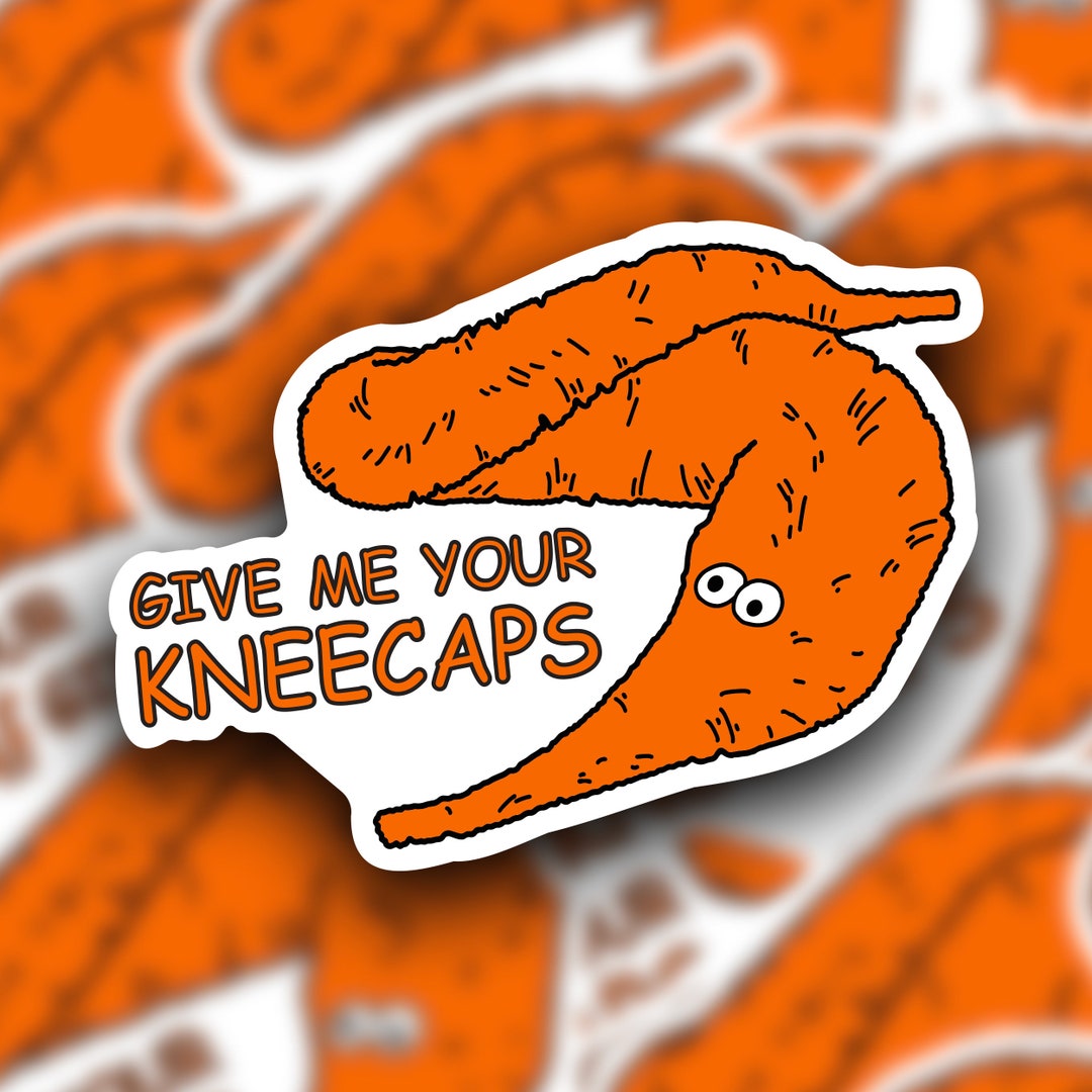 Give Me Your Kneecaps Sticker | Laptop Sticker | Water Bottle Stickers ...