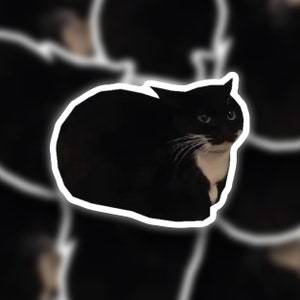 Maxwell the Cat Plush - Etsy