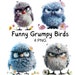 Funny Grumpy Fluffy Birds Clipart Commercial Use L Junk Journal L ...