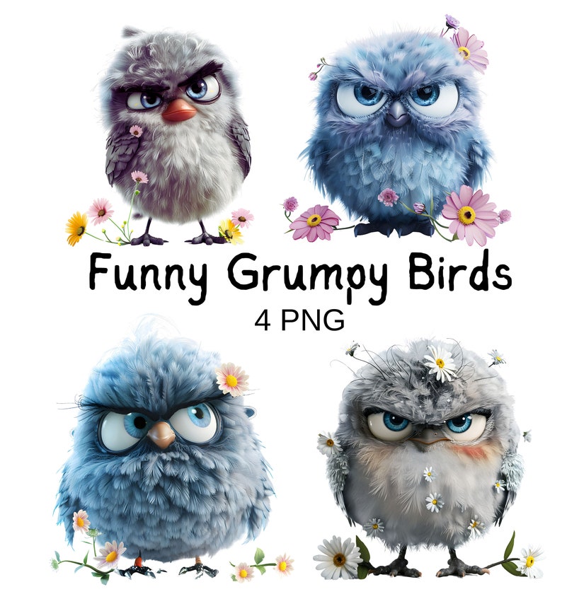 Funny Grumpy Fluffy Birds Clipart Commercial Use L Junk Journal L ...