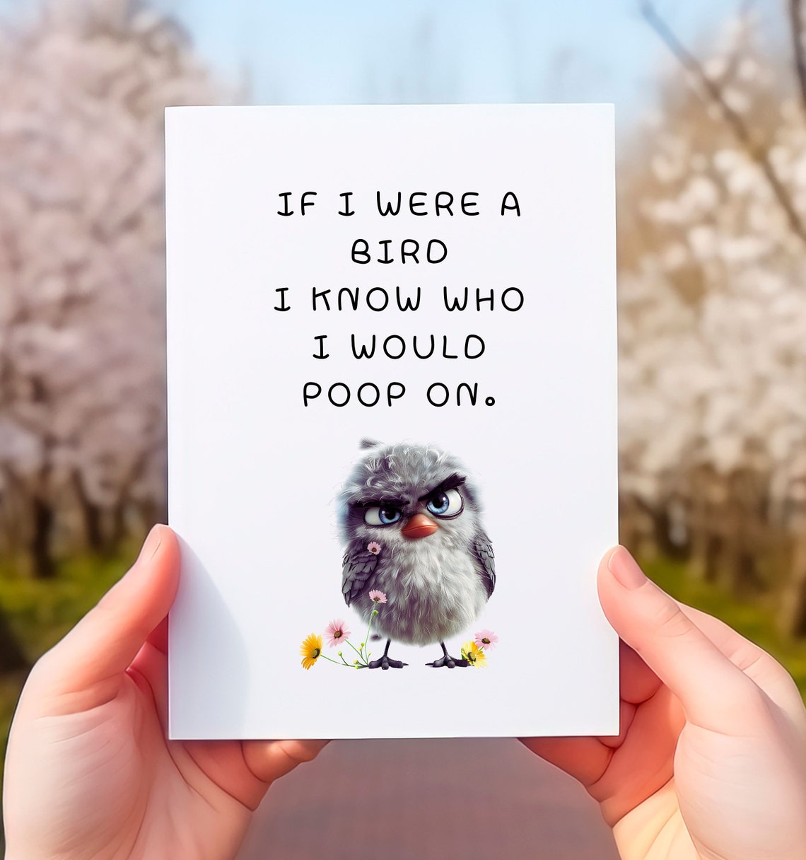 Funny Grumpy Fluffy Birds Clipart Commercial Use L Junk Journal L ...