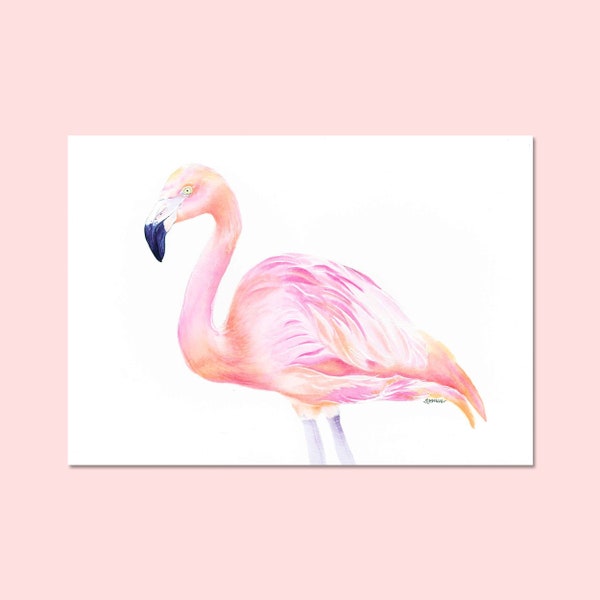 Pale Flamingo Print - Etsy
