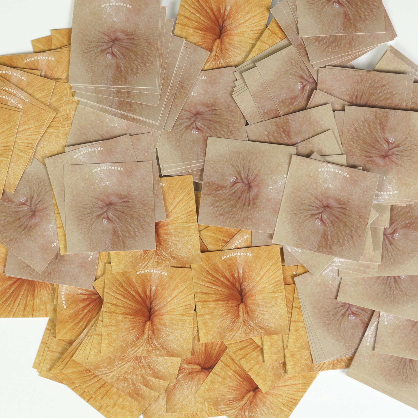 Anusticker 100 Stickers white & Squidgy Funny - Etsy