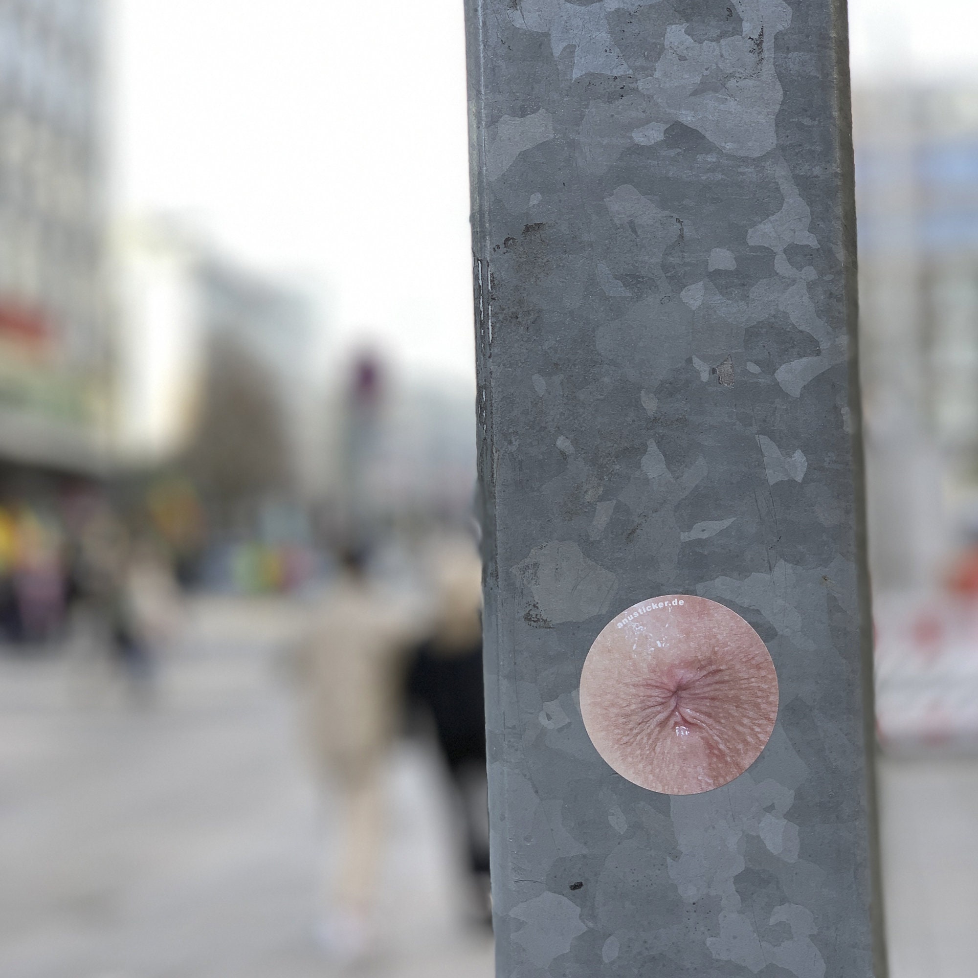 Anusticker 100 Stickers squidgy Funny Asshole - Etsy Australia