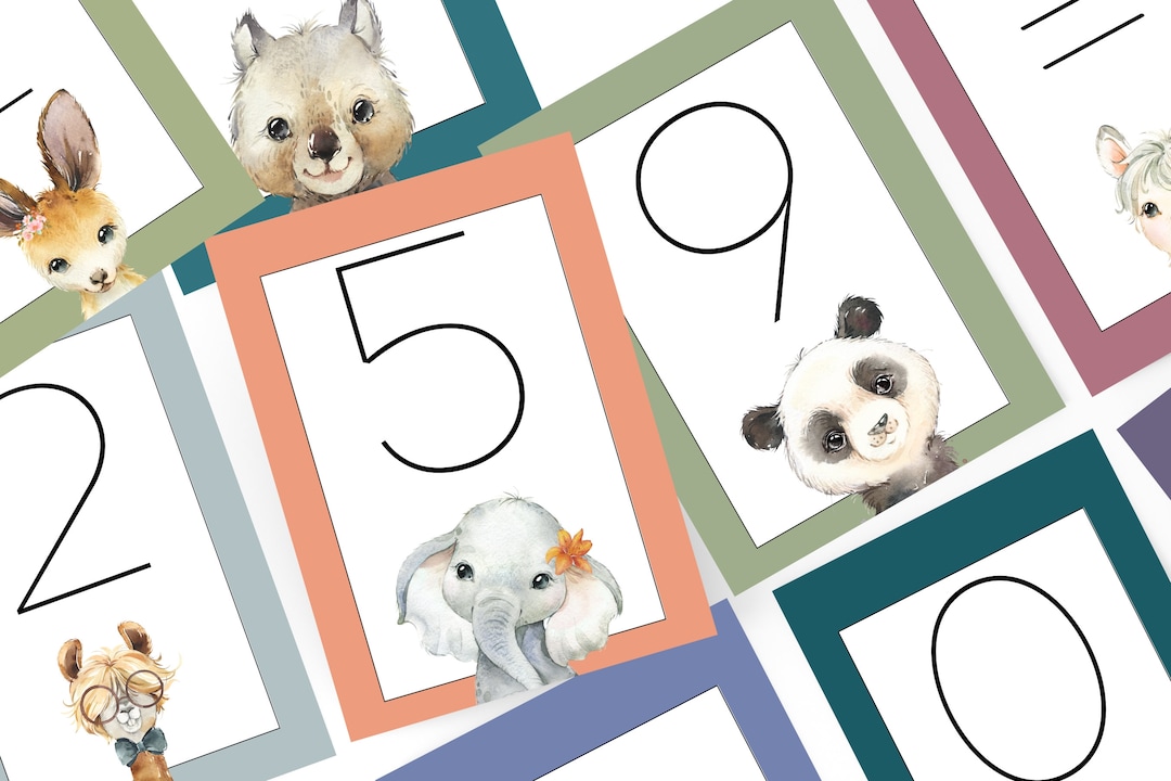 Waterproof NUMBERS FLASHCARDS SET, Unrippable Cards, Educational Math ...