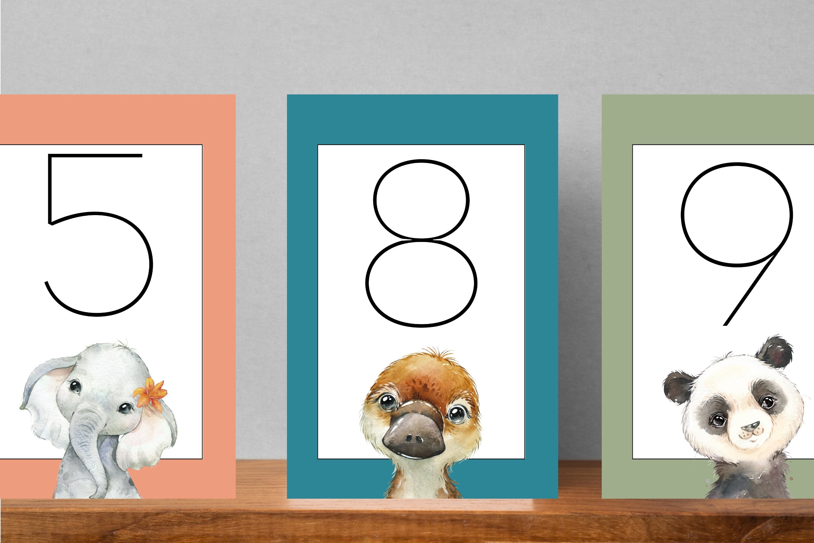 Waterproof NUMBERS FLASHCARDS SET, Unrippable Cards, Educational Math ...