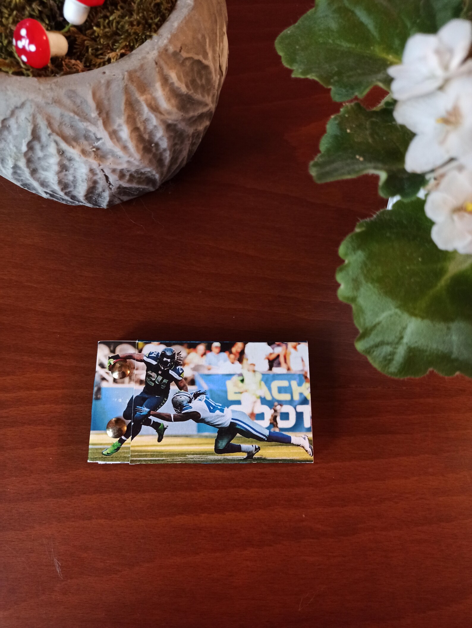 Flipbook National Football League NFL Illustration Handmade | Etsy