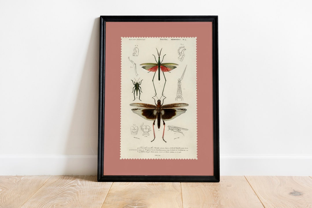 Colourful Postage Stamp Styled Gallery Wall Art Print Illustration Pink ...