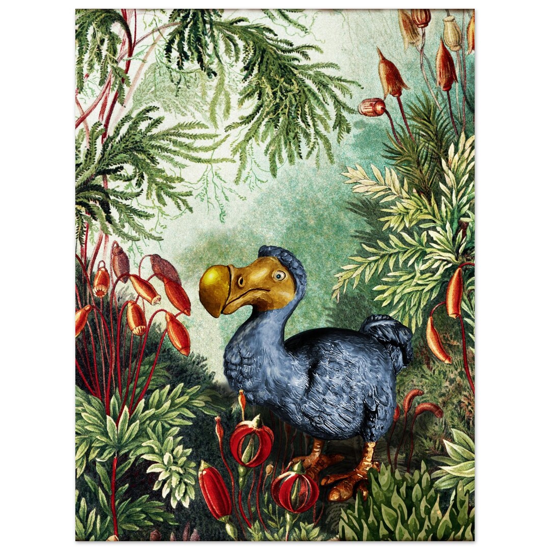 Dodo Bird Art Print Original Painting Wall Art Alice In Wonderland Art Dodo Bird Art Print Original Painting Wall Art Alice In Wonderland Art