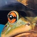 Toad, Toad Art, Toad Print, Toad Portrait Poster, Renaissance Toad Oil ...