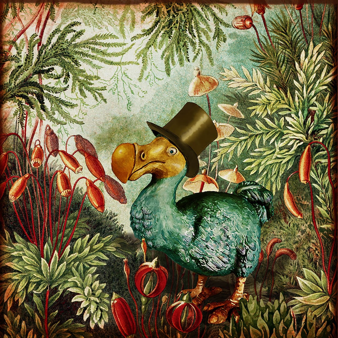 Dodo, Alice in Wonderland Print, Alice in Wonderland, Dodo Bird, Alice ...