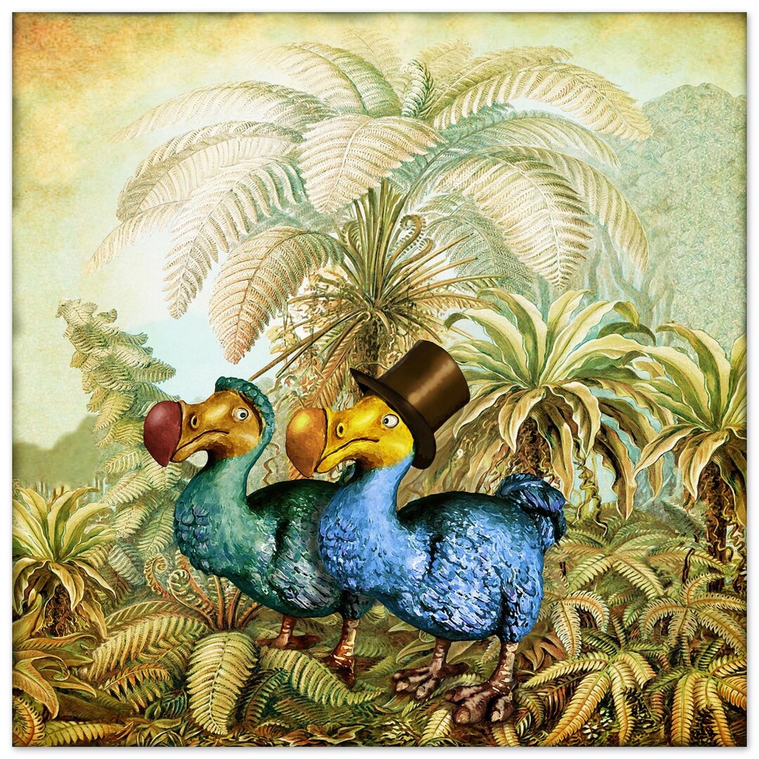 Dodo Bird Painting Print Alice in Wonderland Gift Funny Bird Home Décor ...