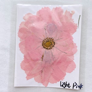 12pcs Pressed Dried Cosmos Flowers for Resin,ready to Ship,jewelry Diy ...