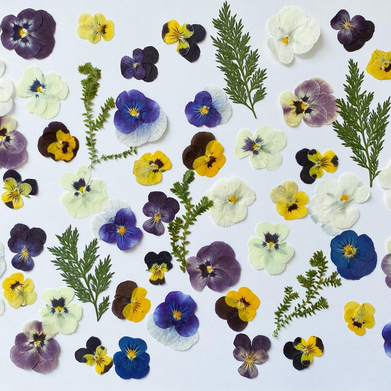 Mini Food Safe Flowers - Etsy