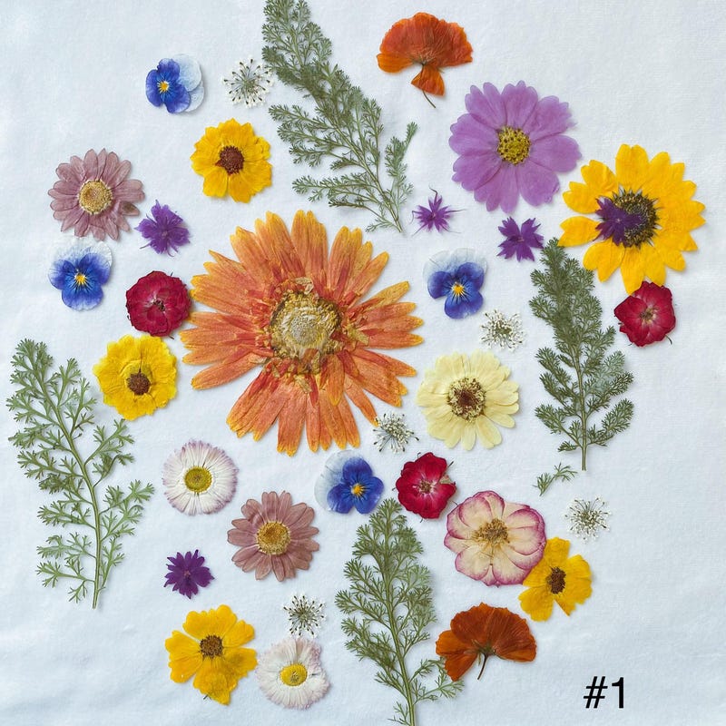 Pressed Flower Jewelry for Wedding - Etsy