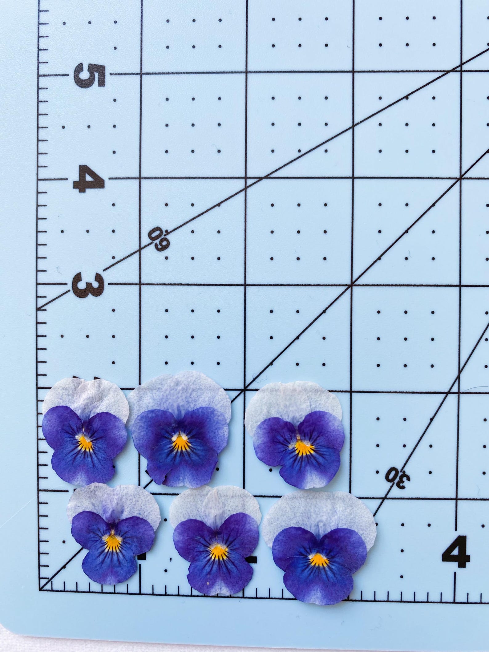 Birth Month-february Violet Flowers,jewelry Diy,resin Supply,card ...