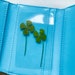 Real Four Leaf Clover Lucky Charm,laminated,dried Bookmark,lucky ...