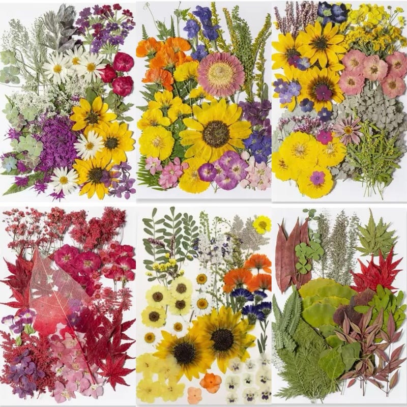 Pressed Flower Craft Kits - Etsy