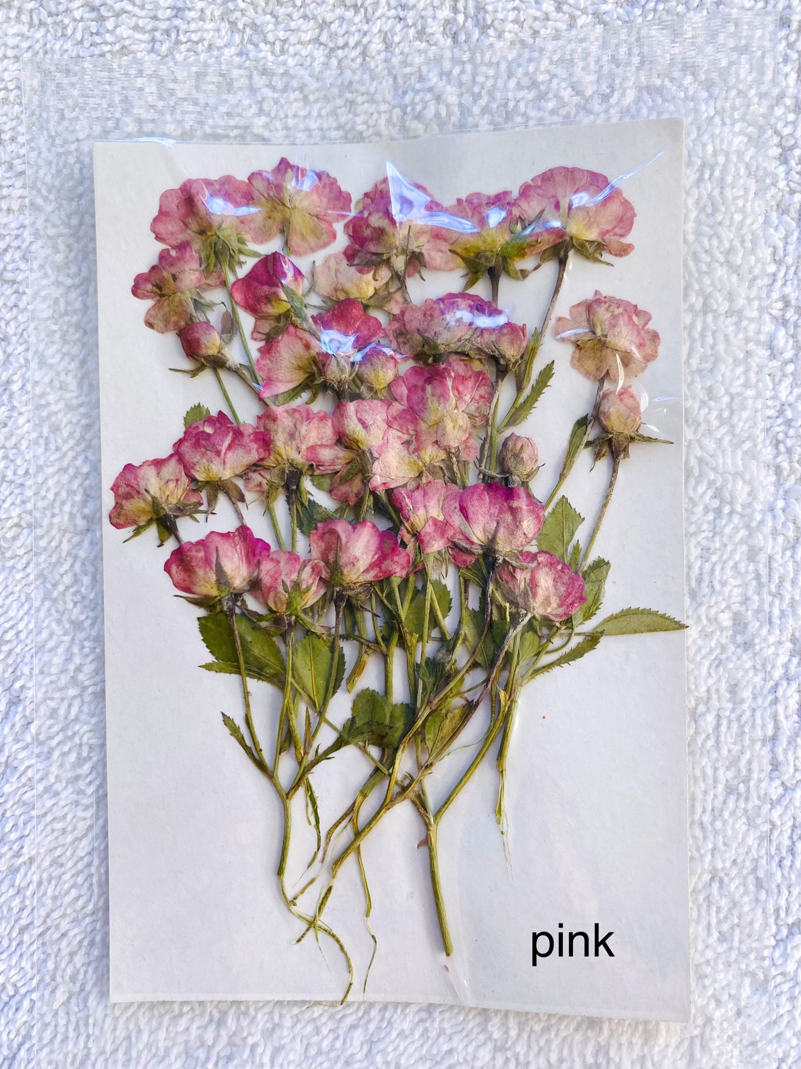 12pcs Pressed Dried Mini Rose Buds With Stemsready to Ship - Etsy