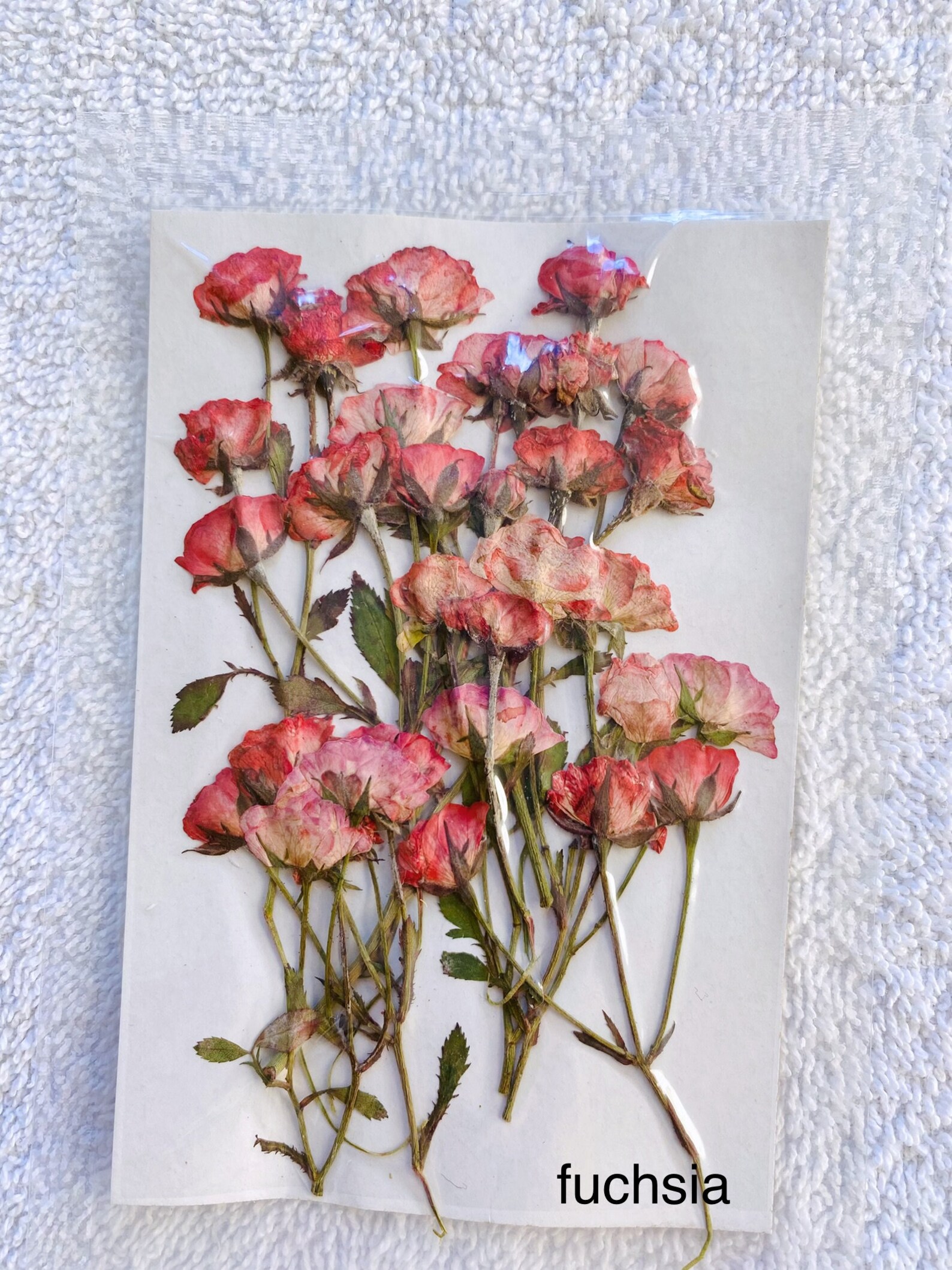 12pcs Pressed Dried Mini Rose Buds With Stemsready to Ship - Etsy