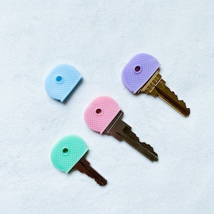 Anime Kawaii PVC Cat/bunny/chicken/bear Key Covers,key Cap Cover,kawaii ...